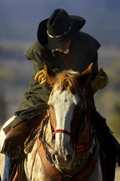 CY Western Co. - Western Apparel & Boot Store